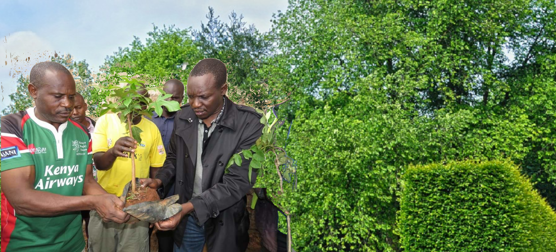 Dagoretti North CDF | Maendeleo kwa Wote